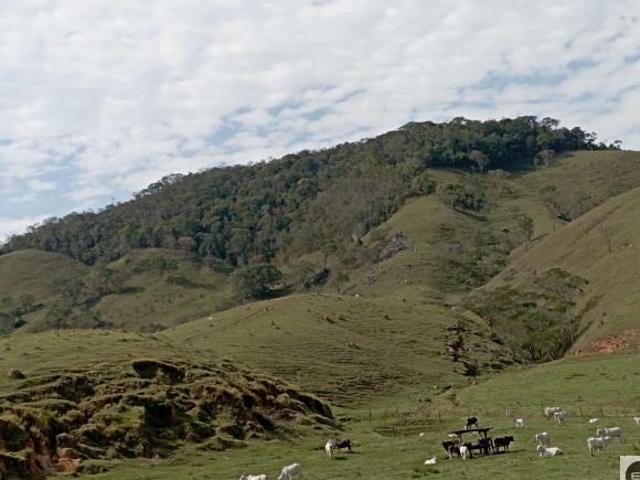 Fazenda em Paraibuna 76 alqueires