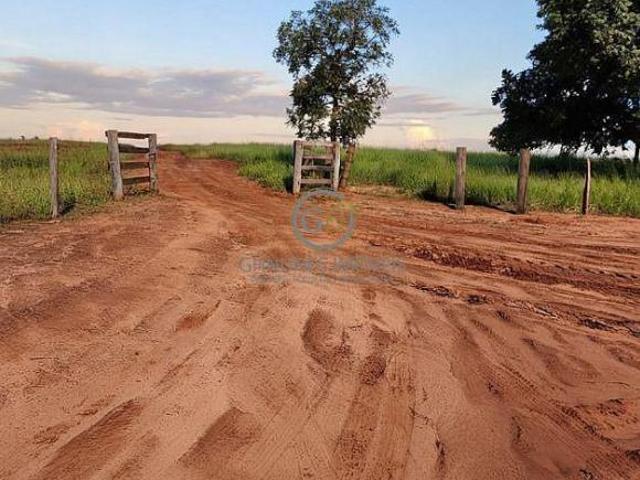 Fazenda em Paraíso das Águas MS | 588 ha à Venda e Permuta
