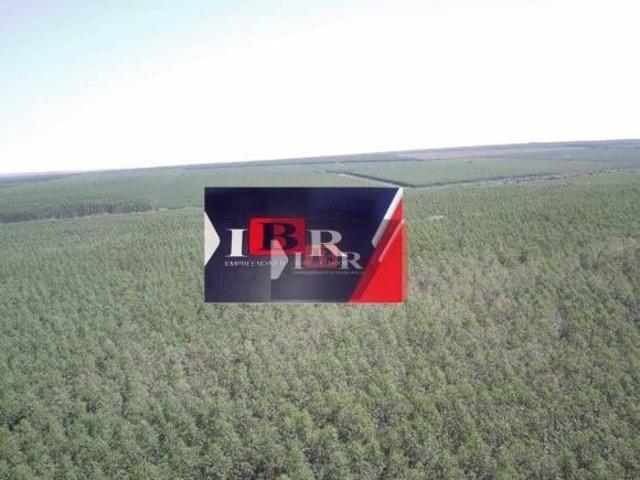 Fazenda em Paranáiba MS