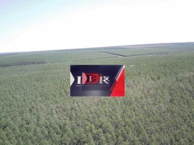 Fazenda em Paranaíba MS