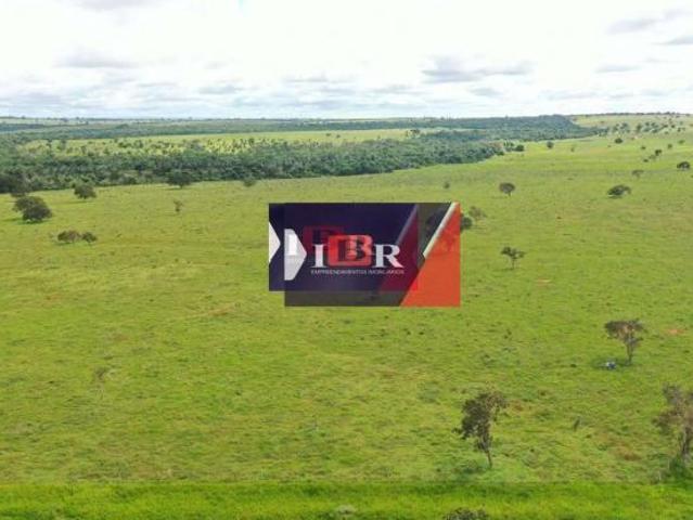 Fazenda em Paranaíba MS
