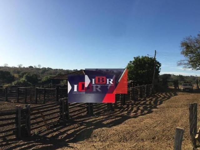 Fazenda em Pedras de Maria da Cruz MG