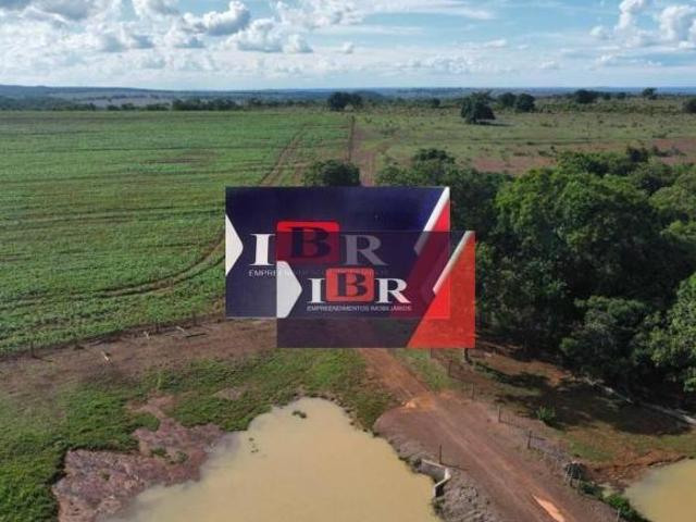 Fazenda em Pedro Gomes MS