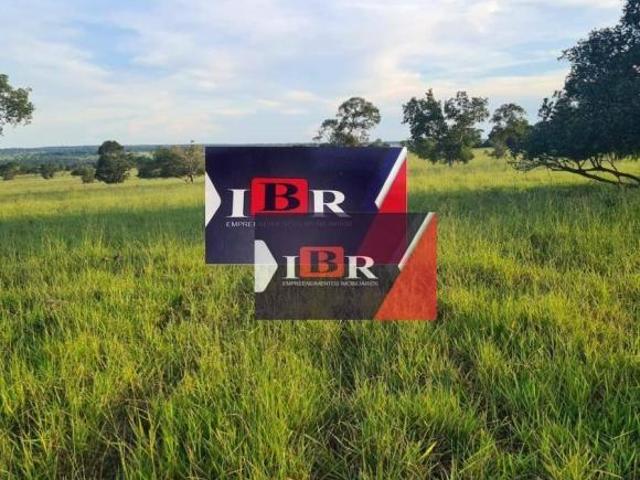 Fazenda em Pedro Gomes MS