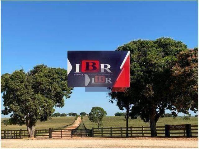 Fazenda em Pedro Gomes MS