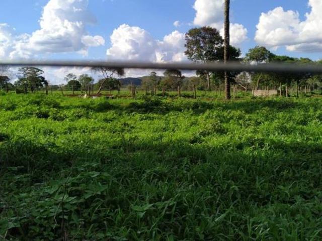 Fazenda em Pequi