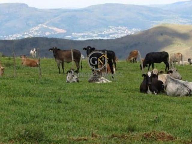 Fazenda em Pimenta MG: 1.238 ha na Represa de Furnas à Venda