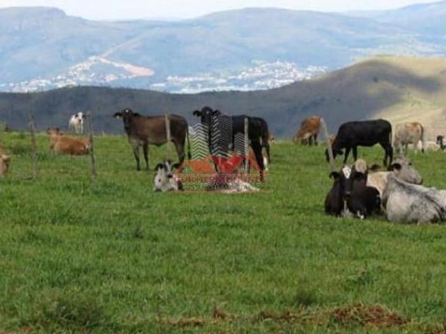 Fazenda em Pimenta MG: 1.238 ha na Represa de Furnas à Venda