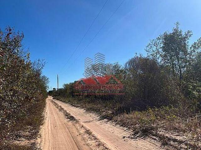 Fazenda em Pintópolis MG: Solo Argiloso e Logística MG 402
