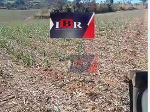 Fazenda em Pirassununga SP