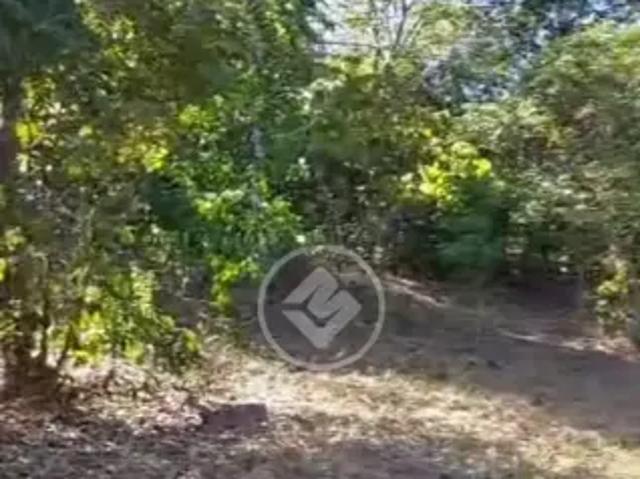 FAZENDA EM Pirenópolis codigo: 77254