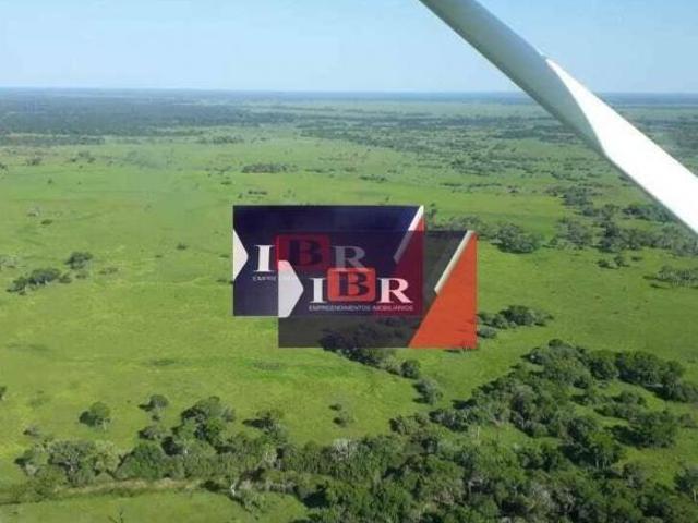 Fazenda em Poconé = MT