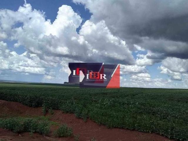 Fazenda em Ponta Porã MS
