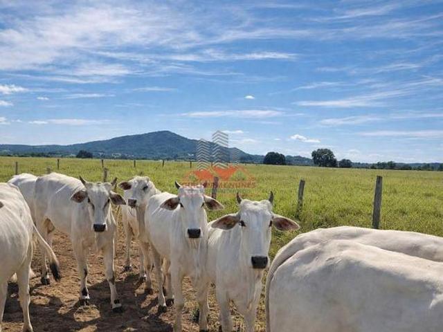 Fazenda em Porangatu GO | 102 Alq | R$ 130 Mil/Alqueire