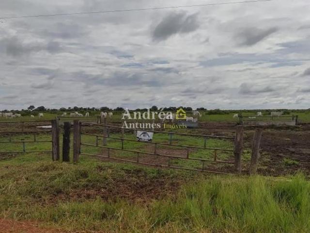 Fazenda em Porto Alegre, Porto Alegre Do Norte/MT de 1418m² 5 quartos à venda por R$ 25.000.000,00