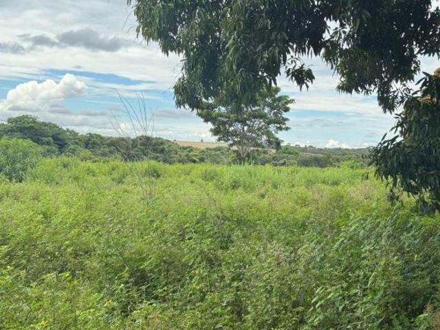 Fazenda em Porto Gauchos