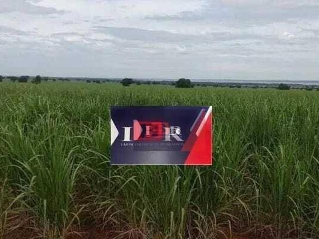 Fazenda em Presidente Prudente SP