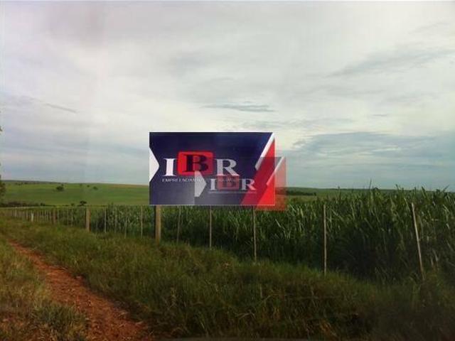 Fazenda em Presidente Prudente SP