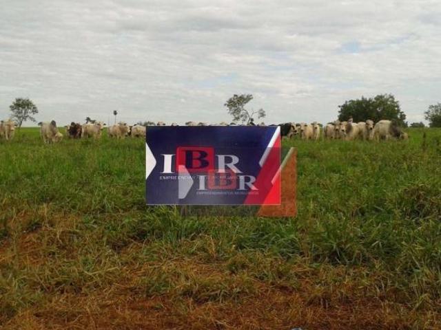Fazenda em Presidente Prudente SP