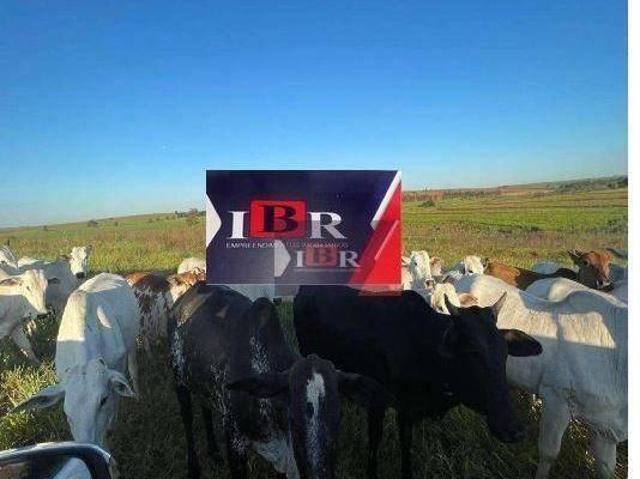 Fazenda em Presidente Prudente SP