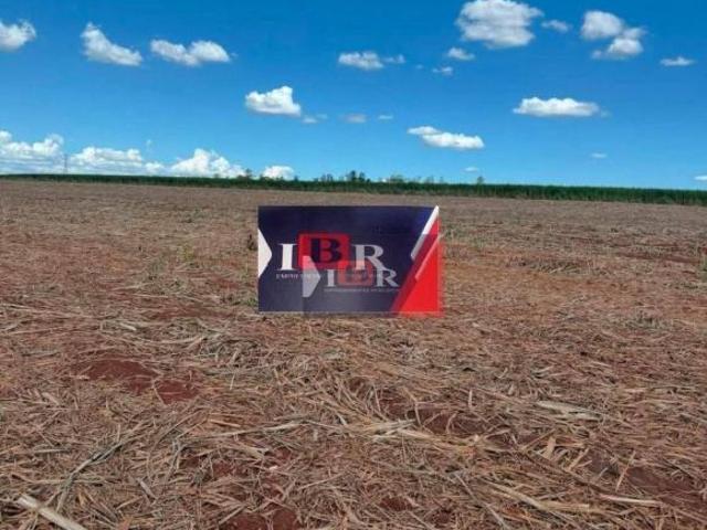 Fazenda em Presidente Prudente SP