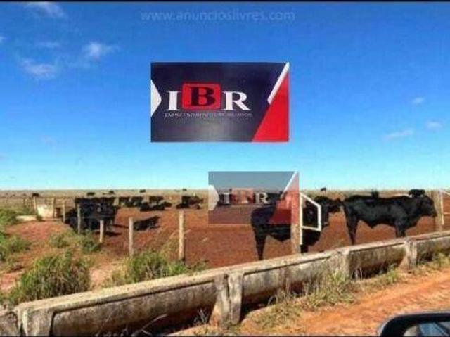 Fazenda em Presidente Venceslau SP
