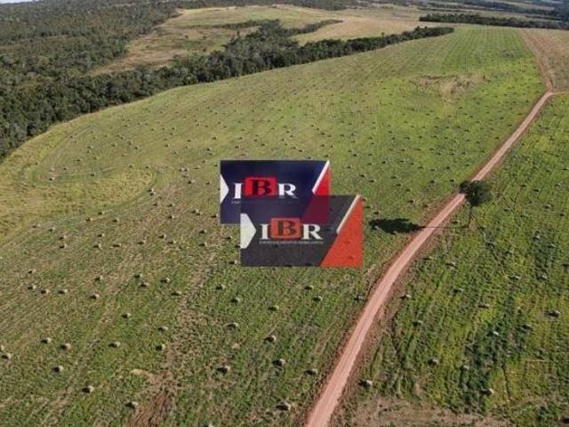 Fazenda em Primavera do Leste MT
