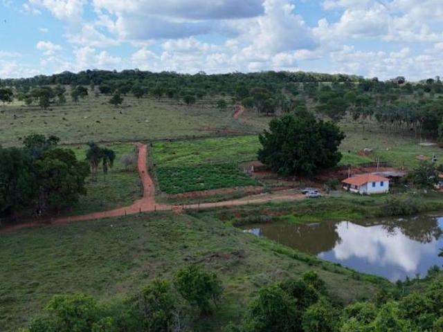 Fazenda em Professor Jamil