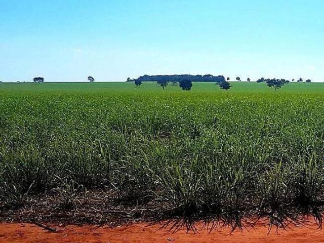 Fazenda em Quirinópolis Go