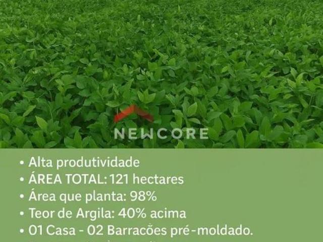 Fazenda em Rua Mato Grosso Jardim Água Boa Dourados/MS