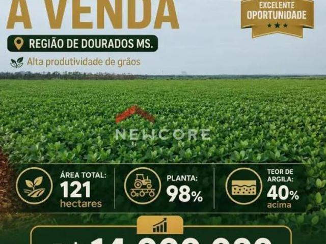 Fazenda em Rua Mato Grosso Jardim Água Boa Dourados/MS