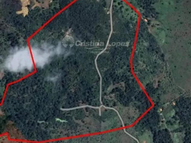 Fazenda em Rural, Floriano/PI de 10m² 4 quartos à venda por R$ 849.900,00