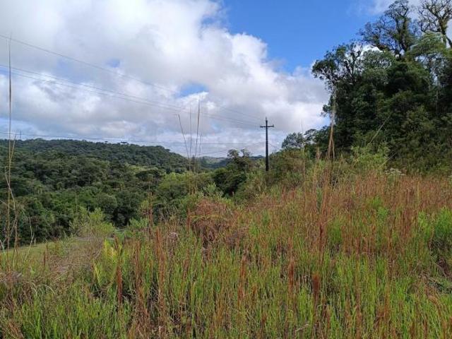 Fazenda em Rural, Tijucas do Sul/PR