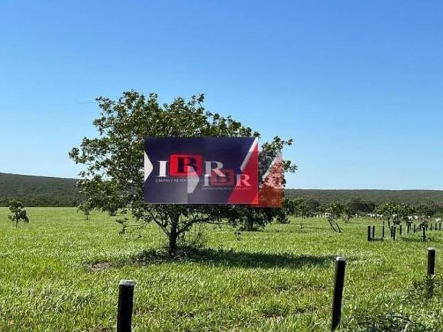 Fazenda em Reserva do Cabaçal MT