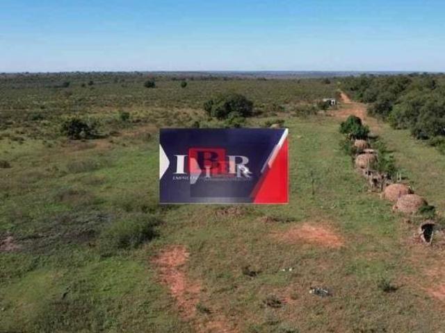 Fazenda em Ribas do Rio Pardo MS