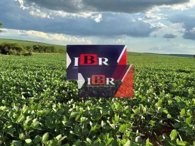 Fazenda em Ribas do Rio Pardo MS