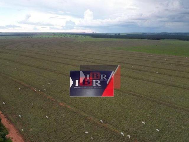 Fazenda em Ribas do Rio Pardo MS