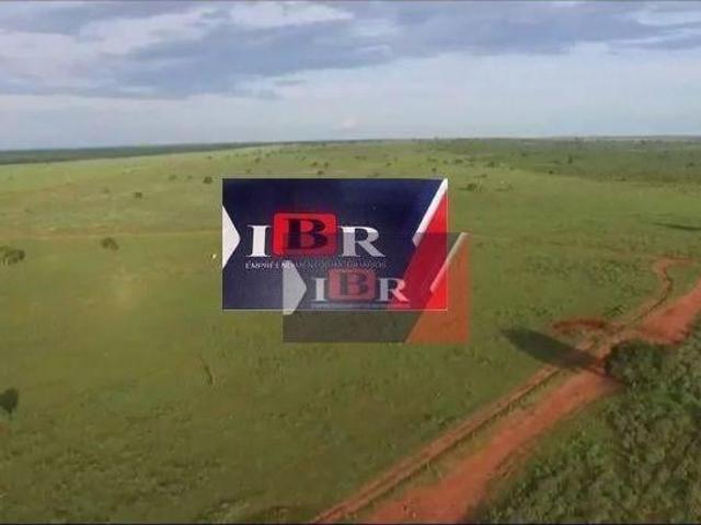 Fazenda em Ribas do Rio Pardo MS