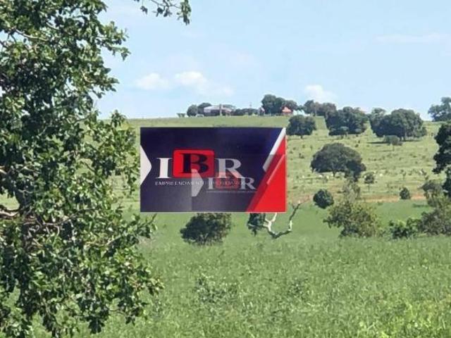Fazenda em Ribas do Rio Pardo MS