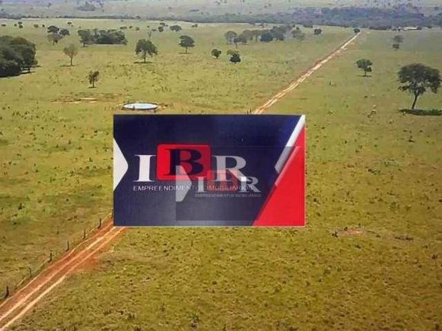 Fazenda em Ribas do Rio Pardo MS
