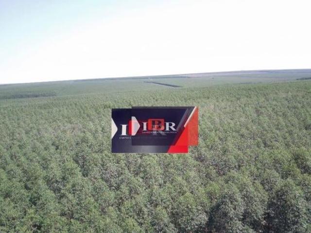 Fazenda em Ribas do Rio Pardo MS
