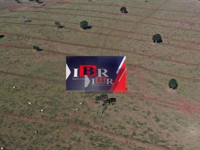 Fazenda em Ribas do Rio Pardo MS