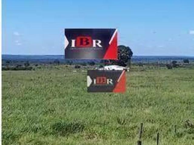 Fazenda em Ribas do Rio Pardo MS
