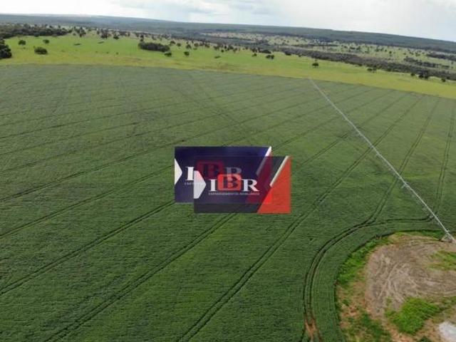 Fazenda em Ribas do Rio Pardo MS