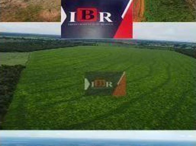 Fazenda em Ribeirão Cascalheira MT