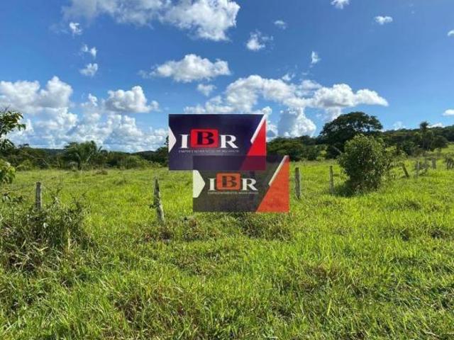 Fazenda em Rio Negro MS