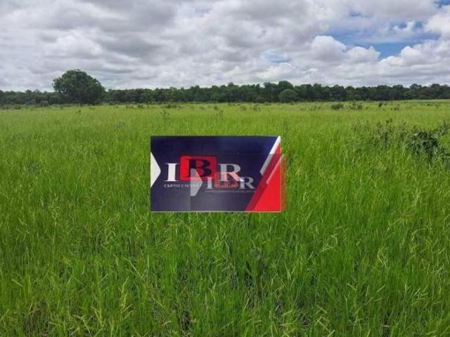 Fazenda em Rochedo MS