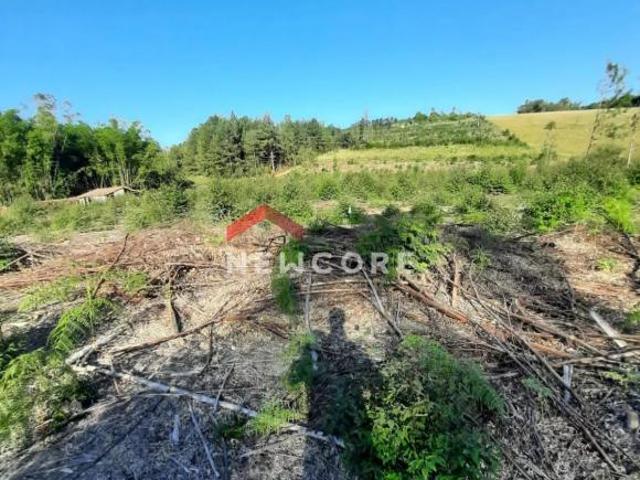 Fazenda em Rodovia Teixeirinha Morungava II Morungava Gravataí/RS