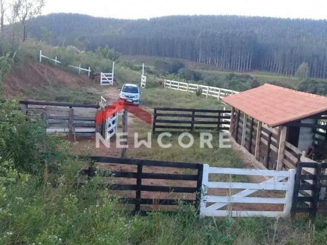 Fazenda em Rodovia Vital Brasil Lberdade Mg Liberdade MG Liberdade/MG