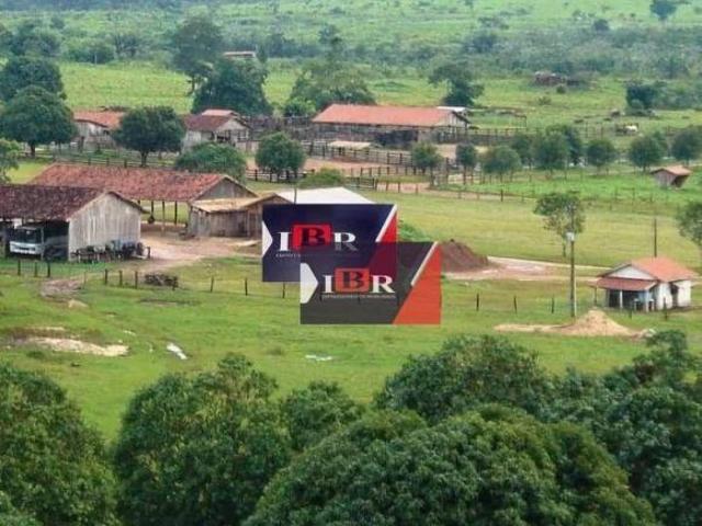 Fazenda em Rondolandia/MT